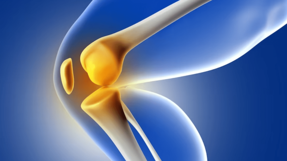 Arthroscopic Surgery and Ligament Reconstruction | Ark Hospital